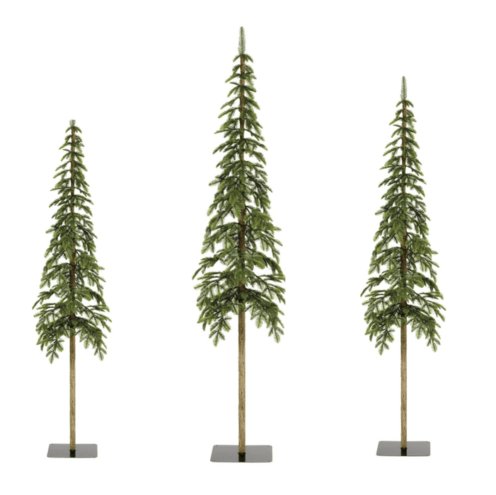 Everlands Alpine Fir Duo of Trees (5ft, 6ft) — Mid Ulster Garden Centre ...